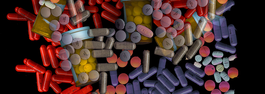 Immunomodulating therapy in dogs: Beyond glucocorticoids - VetBloom