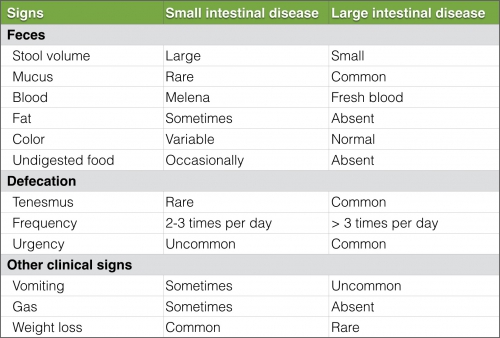 Current Diagnostic Approaches to Chronic Diarrhea (Part I) - VetBloom