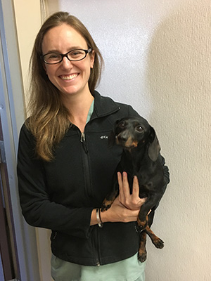 Canine cognitive dysfunction - VetBloom