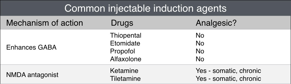 From Stage 0 to 3: Injectable Induction Agents – New and Old - VetBloom