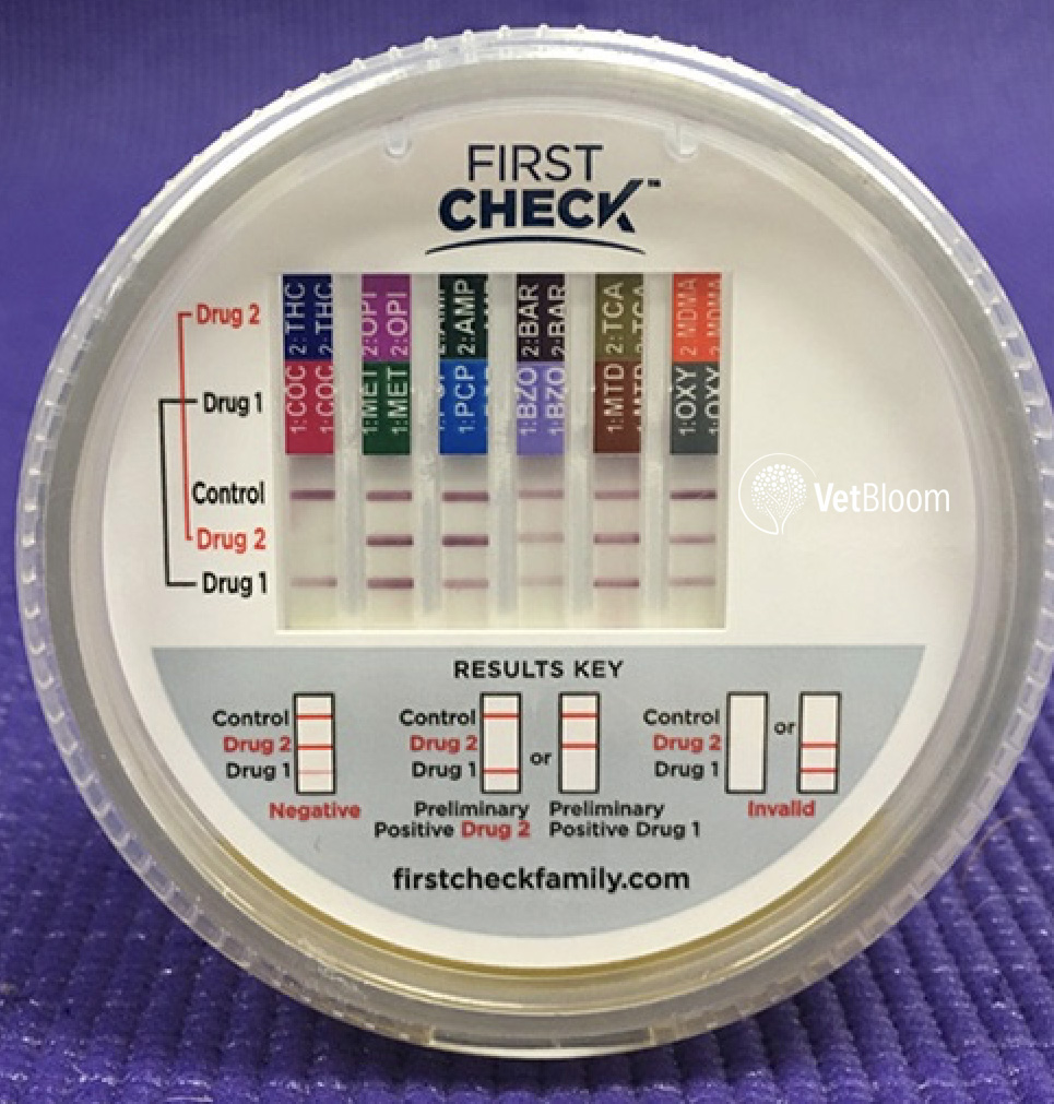 Lost in the weed: Marijuana toxicosis in the age of legalization - VetBloom