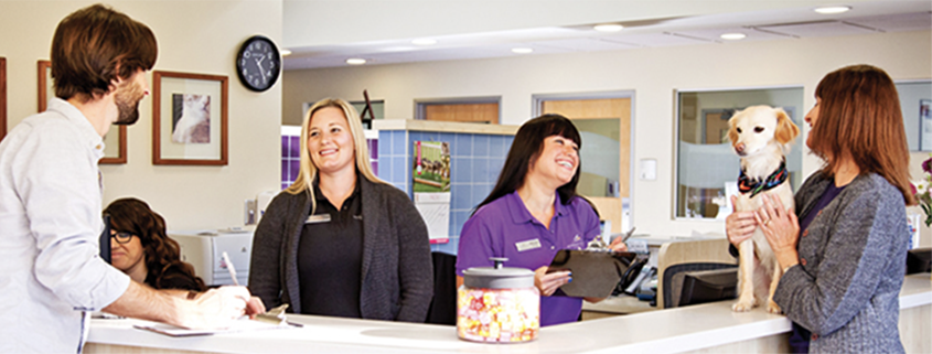 Clinical communication skills in veterinary practice - VetBloom